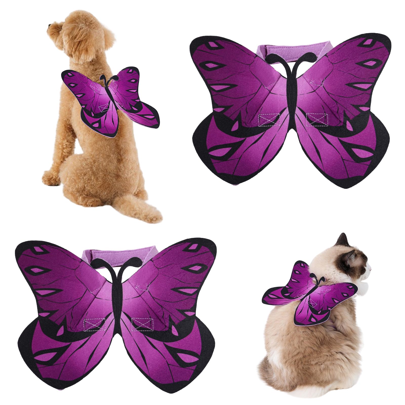 Amazon.com : Halloween Dog Cat Butterfly Costume Large Pet Dogs ...