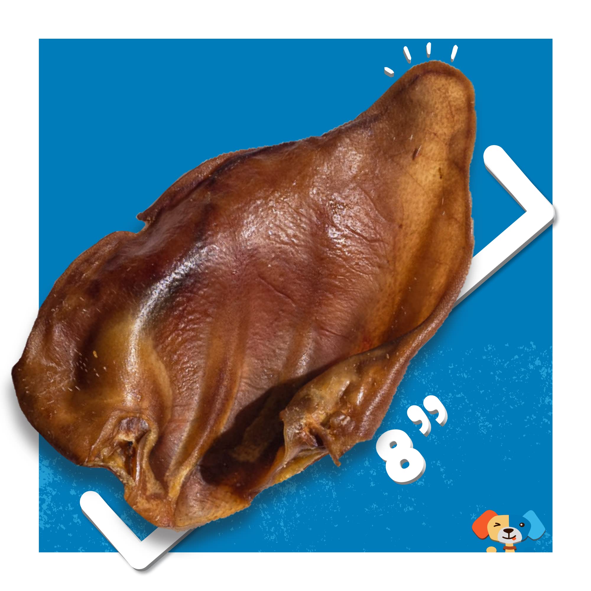 Rawhide Pig Ears at Benjamin Bomar blog