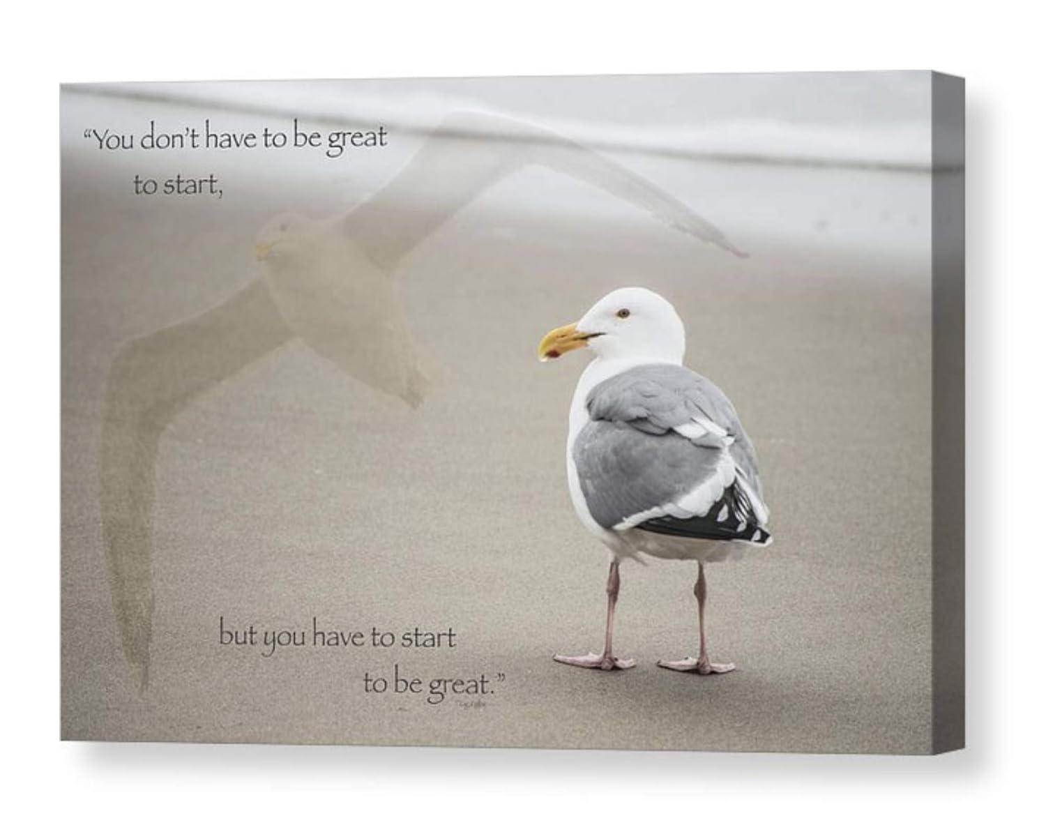 Amazon.com: Sandy Beach Photography on CANVAS Seagull Picture ...