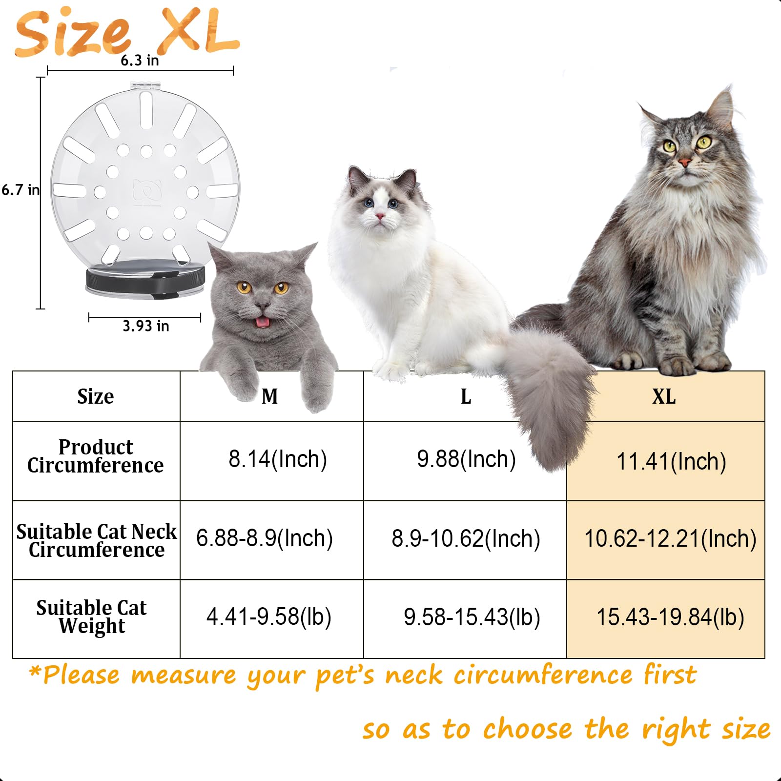 Snapklik.com : Cat Muzzle Cat Helmet Cat Transparent Muzzle XL Size ...