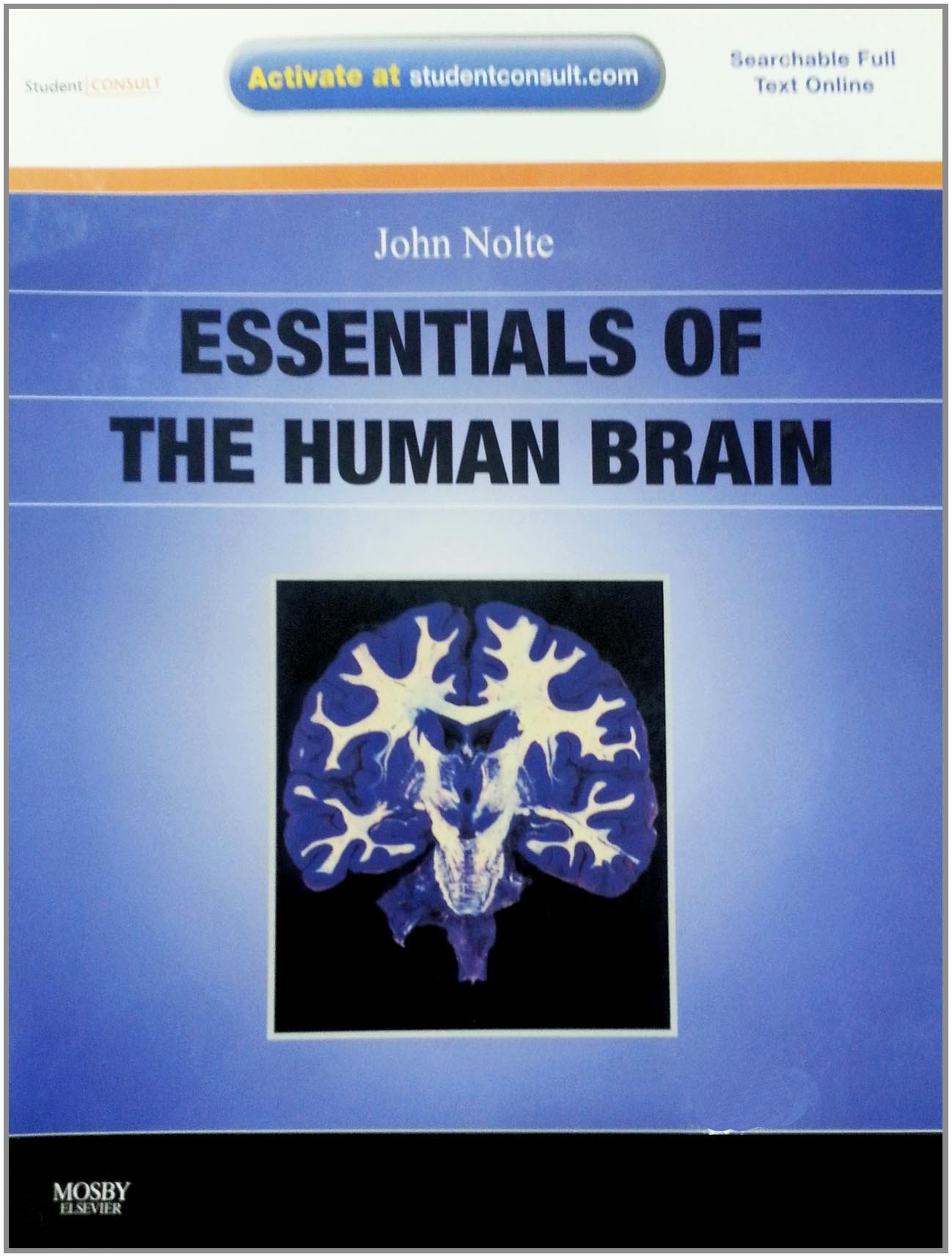 Essentials of the Human Brain: With STUDENT CONSULT Online Access ...