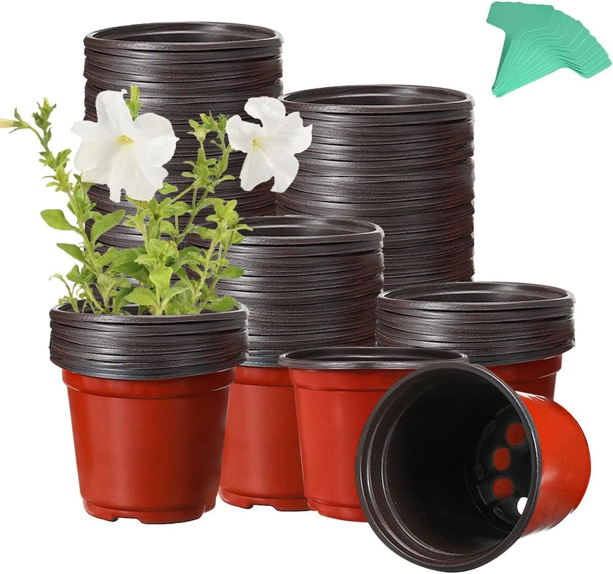 Amazon.com: GARFANS 130 Pcs 10cm Plastic Plant Nursery Seed Pots ...