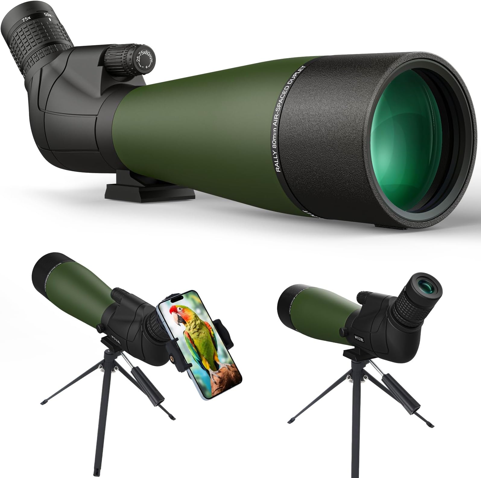 Amazon.com: Celestron – Ultima 65 Straight Spotting Scope – 18-55x Zoom ...