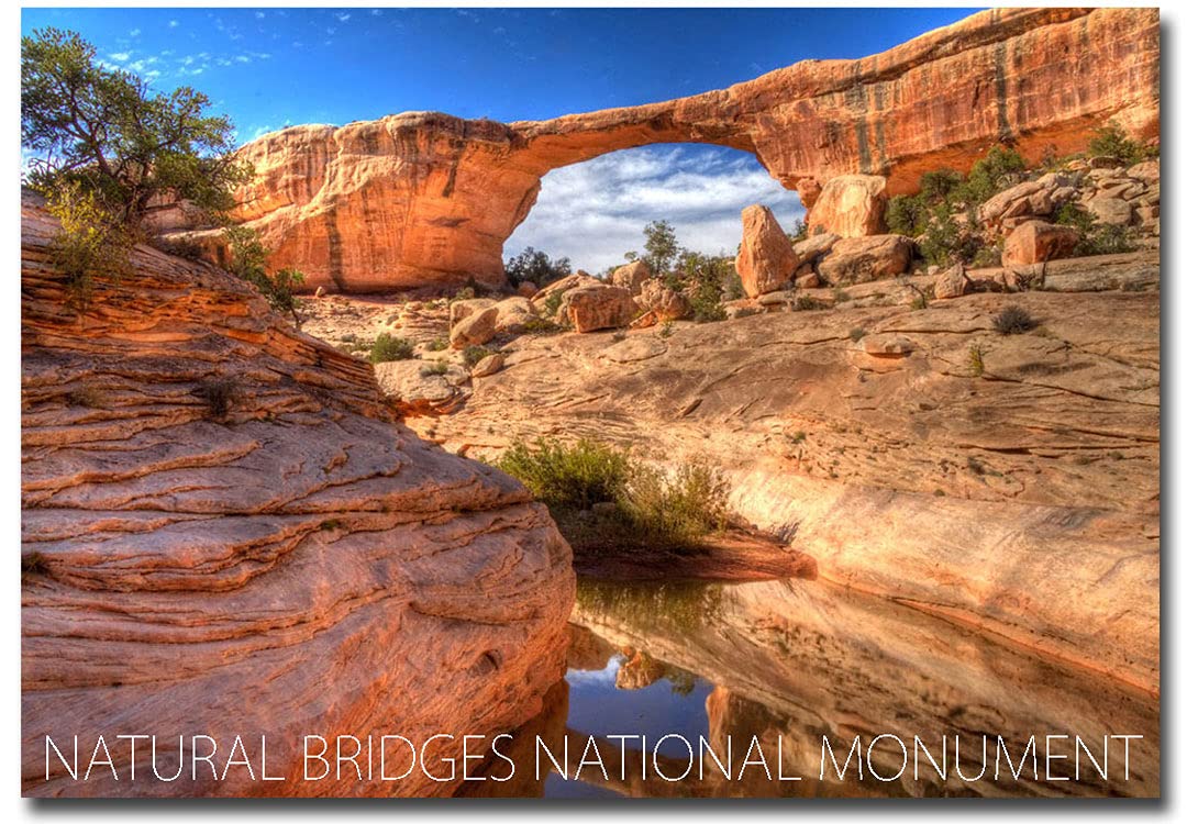 Natural Bridges National Monument