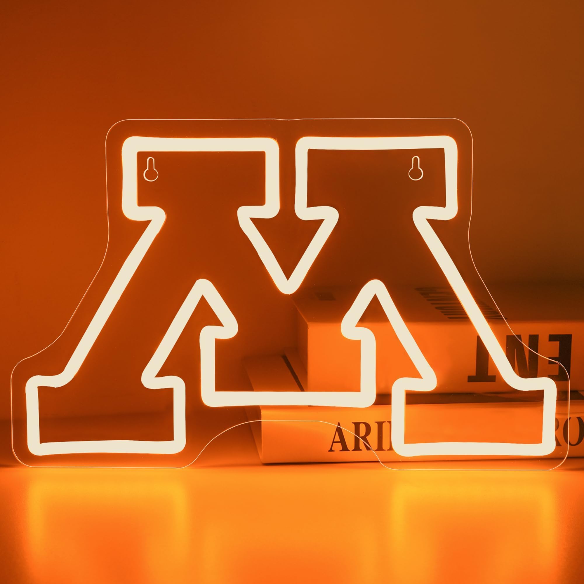 Amazon.com : Minnesota Neon Signs,Minnesota Neon LED Sign,University ...