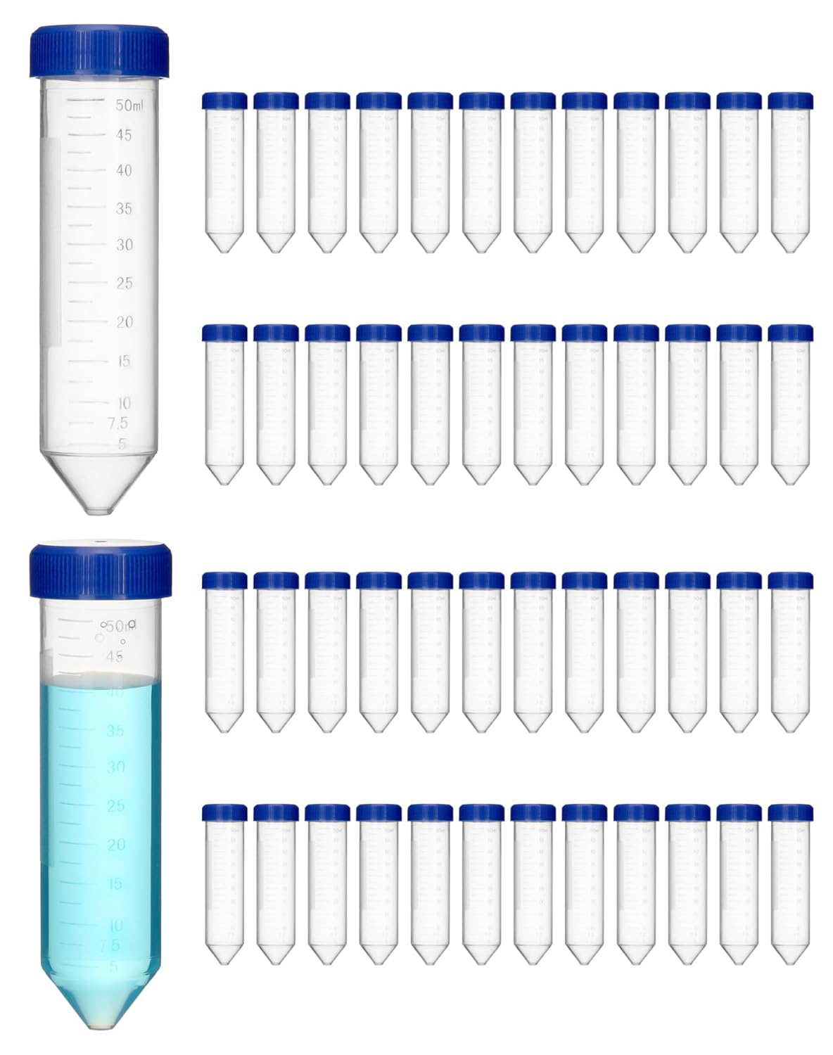 QWORK 50 Pack of 50mL PP Tubes with Screw Caps, Sealing Rings ...