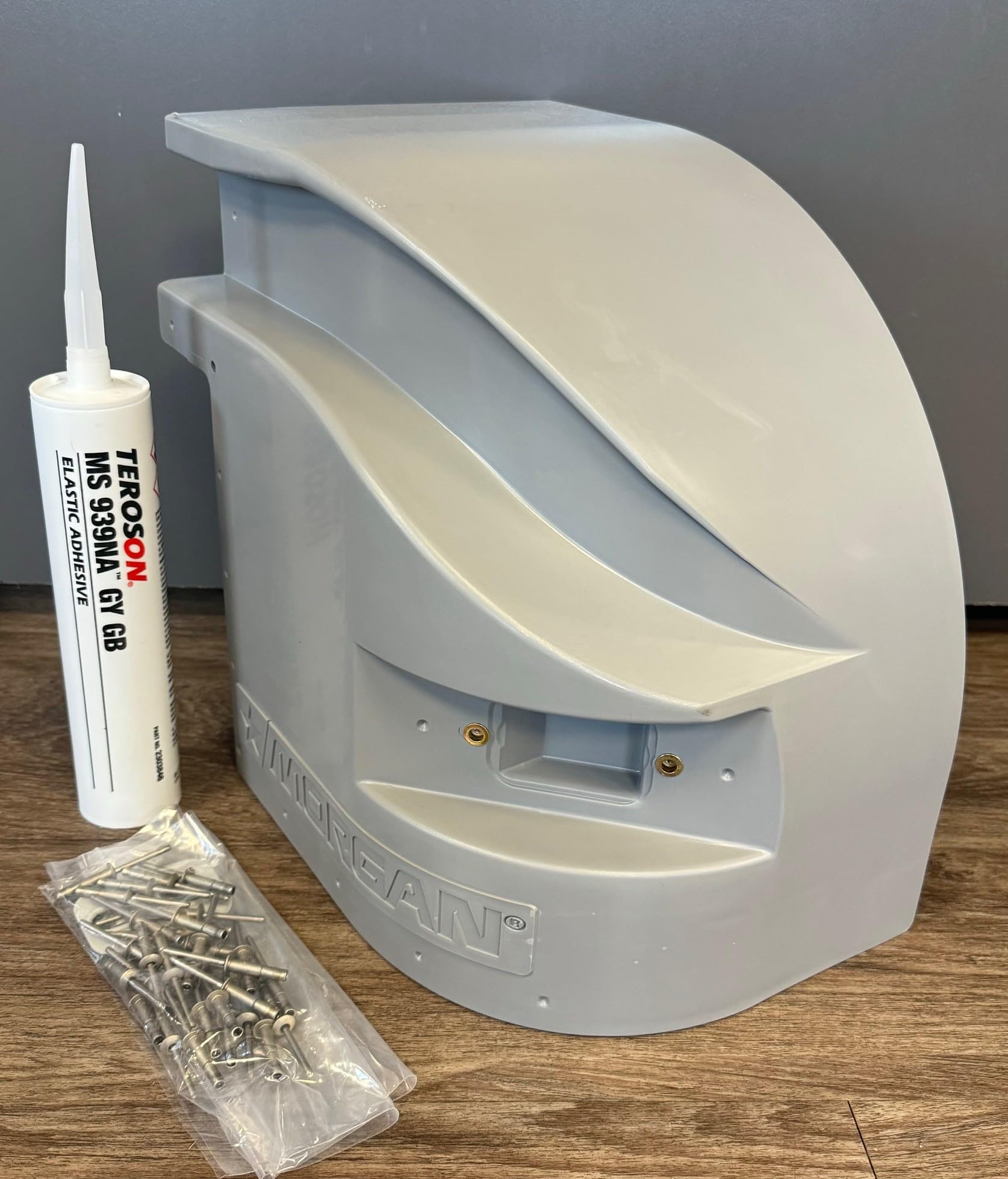 Amazon.com: Morgan Truck 62664 RH/Passenger Side/Curbside Complete ...