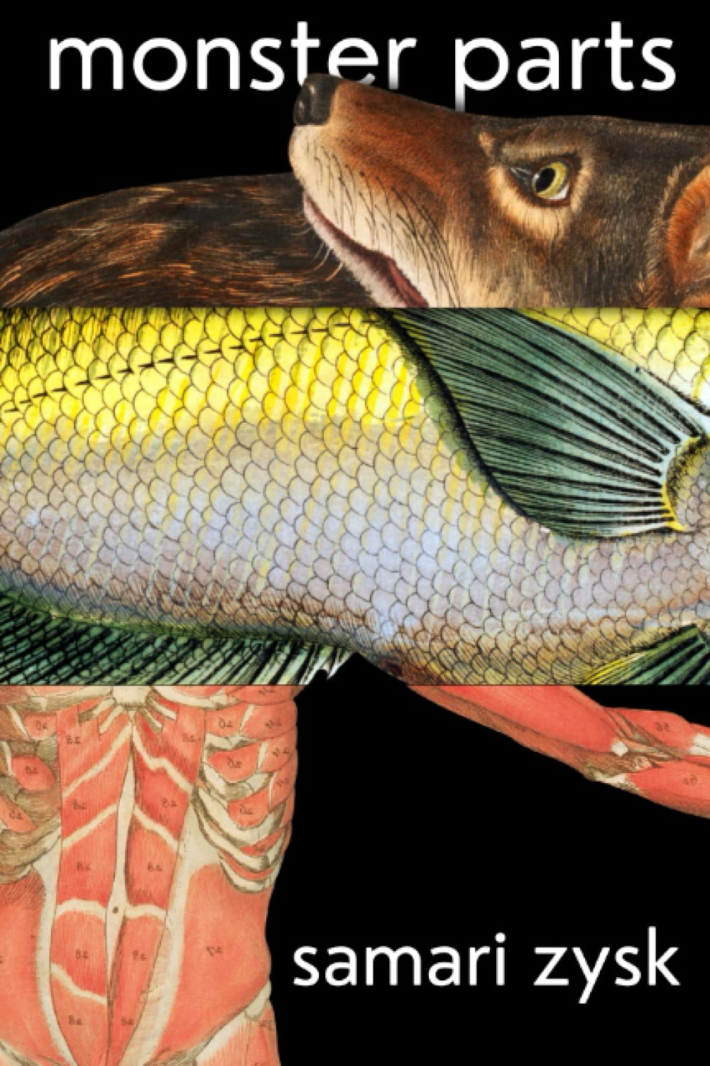 Amazon.com: Monster Parts: 9798846165984: Zysk, Samari, Buddha, Alien ...