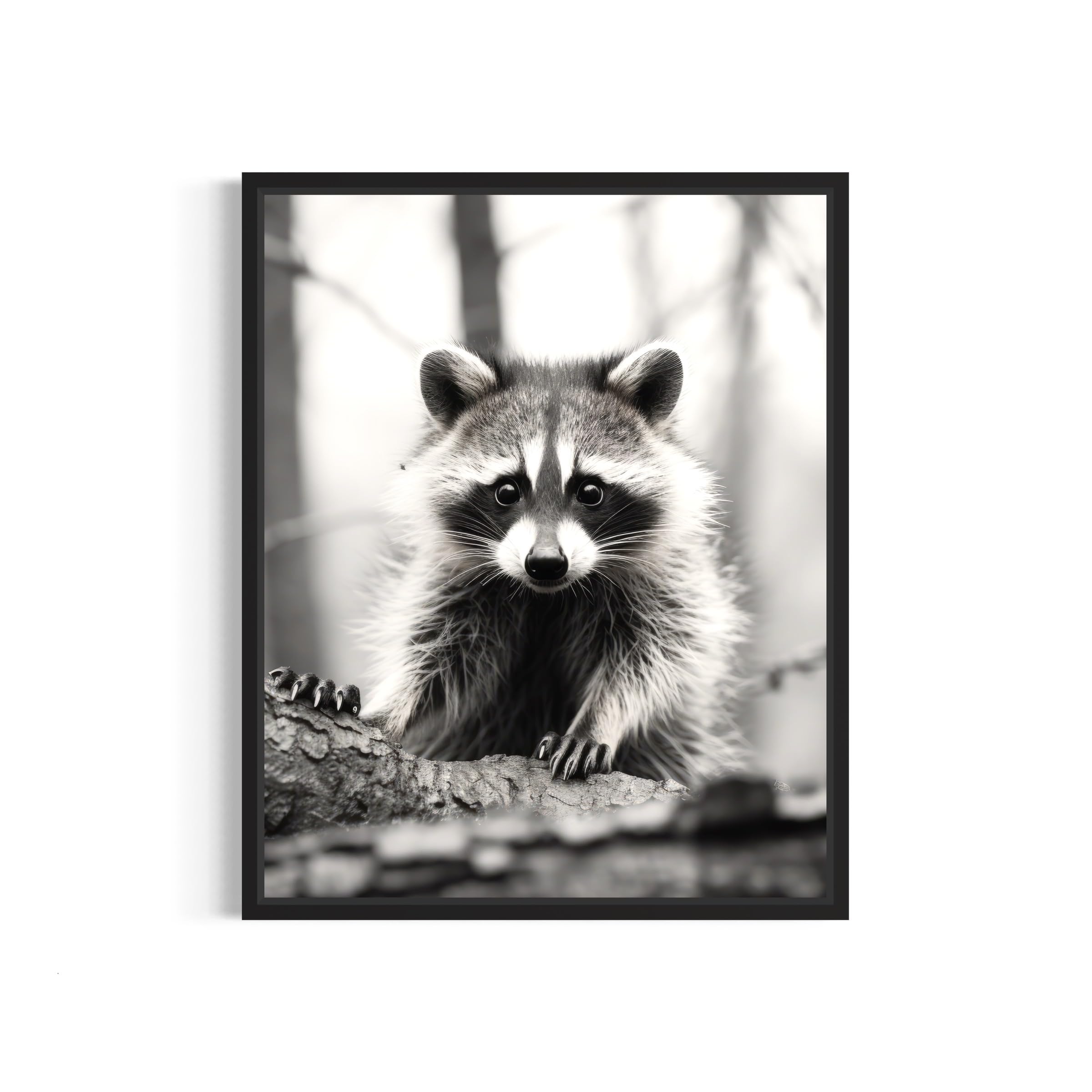 Amazon.com: Raccoon Art Prints Posters, Black and White Photography ...