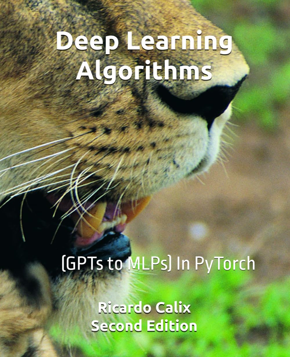 Deep Learning Algorithms: In PyTorch (From GPTs to MLPs): Calix ...