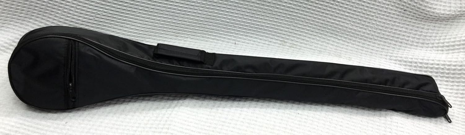 Amazon.com: Soft Case for Persian Setar : Musical Instruments