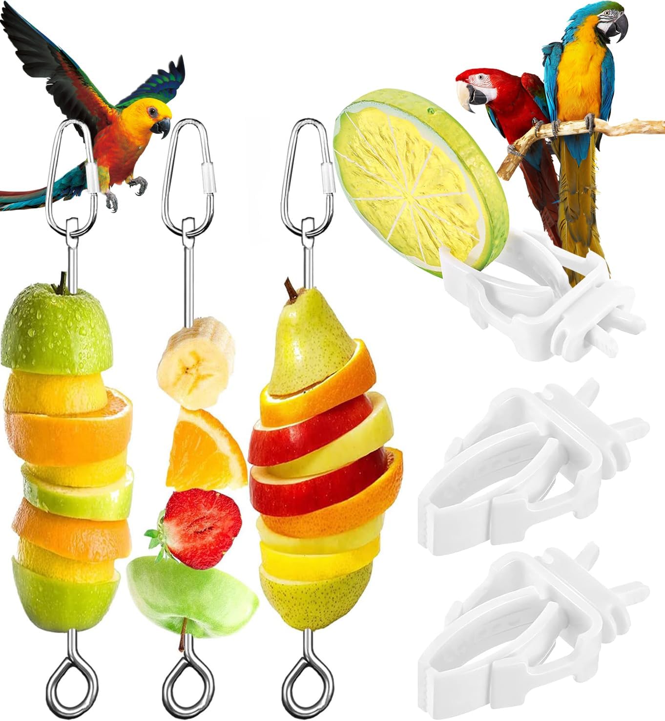 Amazon.com : 3Pcs Bird Food Holder, Bird Feeder Toy, Stainless Steel ...