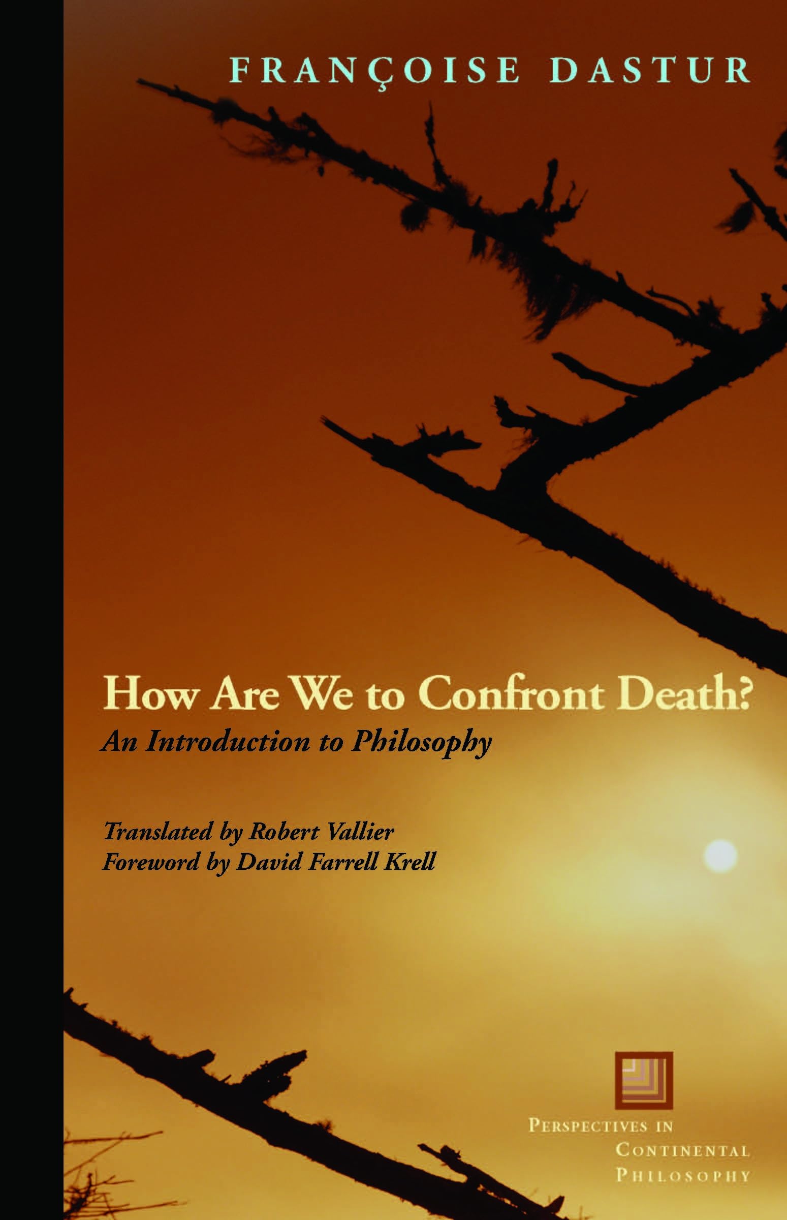 How Are We to Confront Death?: An Introduction to Philosophy ...