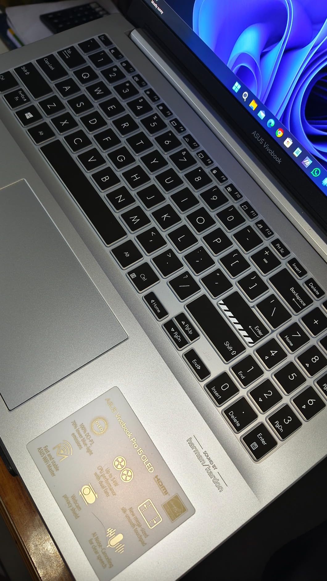 RAYA Silicone Keyboard Skin Cover for ASUS Vivobook Pro 15 OLED Laptops ...