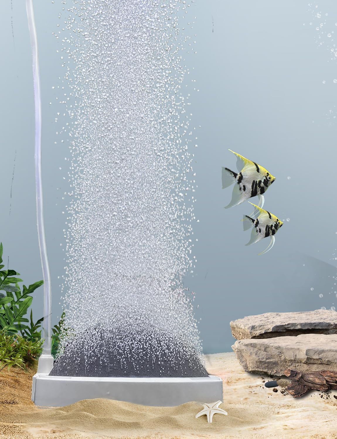 Amazon.com : UPETTOOLS Aquarium Air Stone Fish Tank Bubbler Small Nano ...