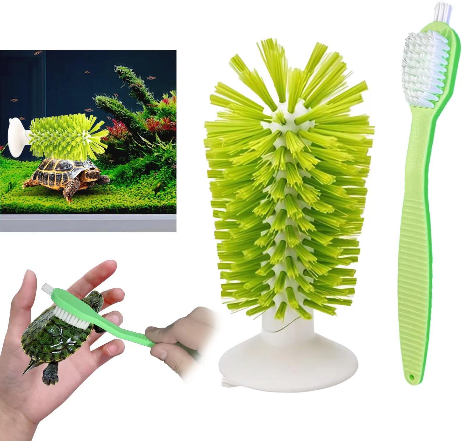 Amazon.com: Turtle Scrub Brush, Turtle Scratches Back Brush Turtle ...