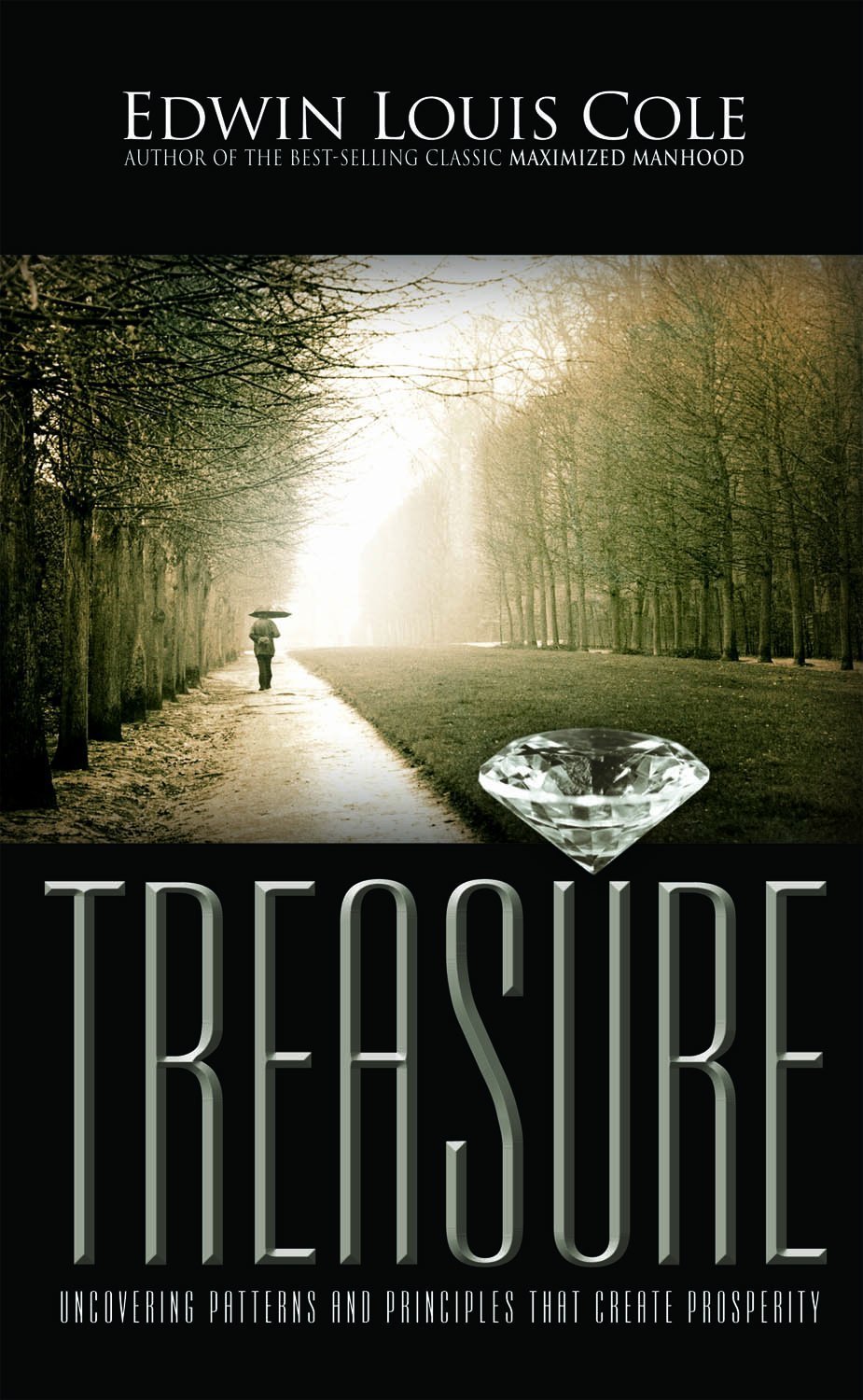 Treasure: COLE EDWIN: 9781931682145: Amazon.com: Books