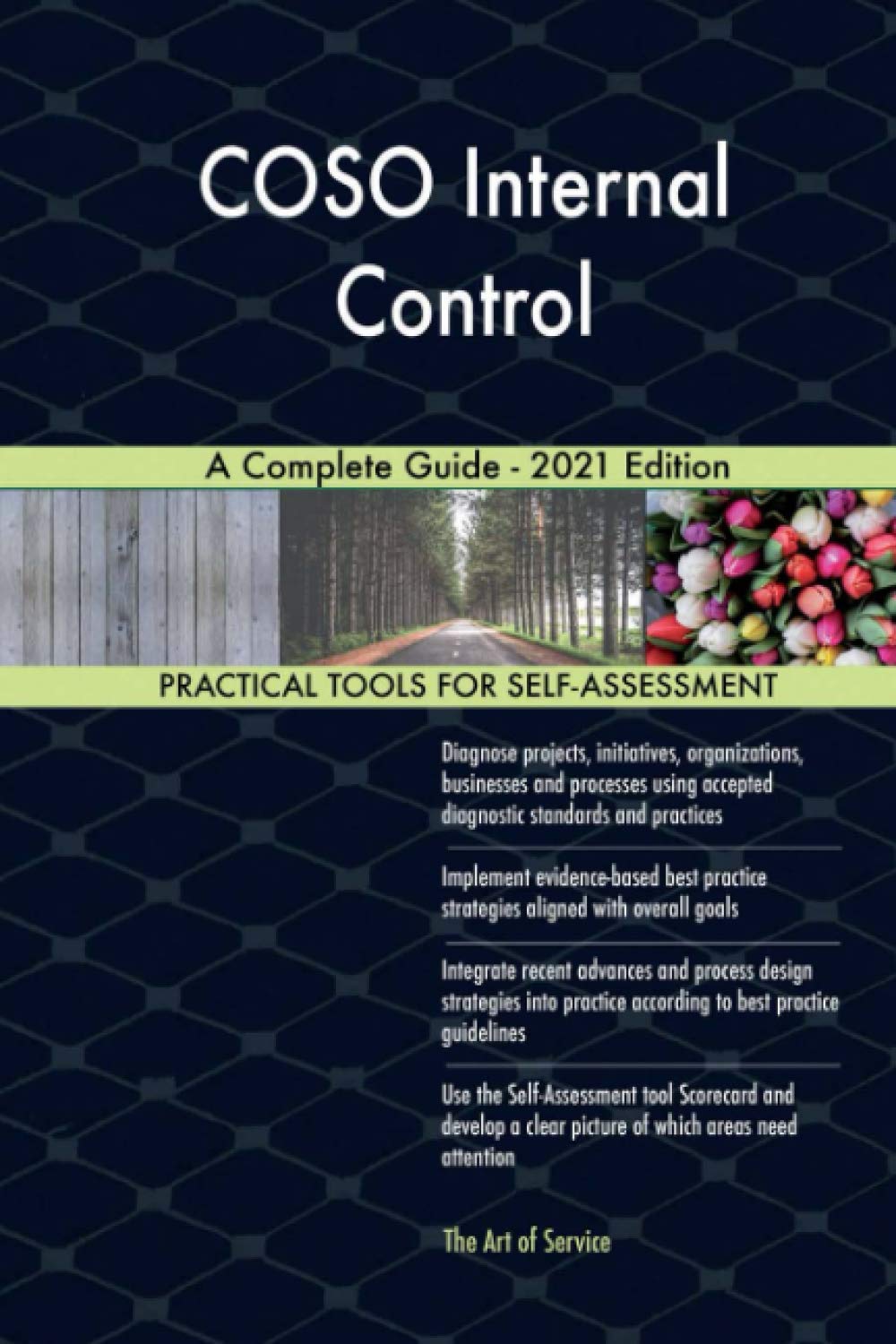 COSO Internal Control A Complete Guide - 2021 Edition: The Art of ...
