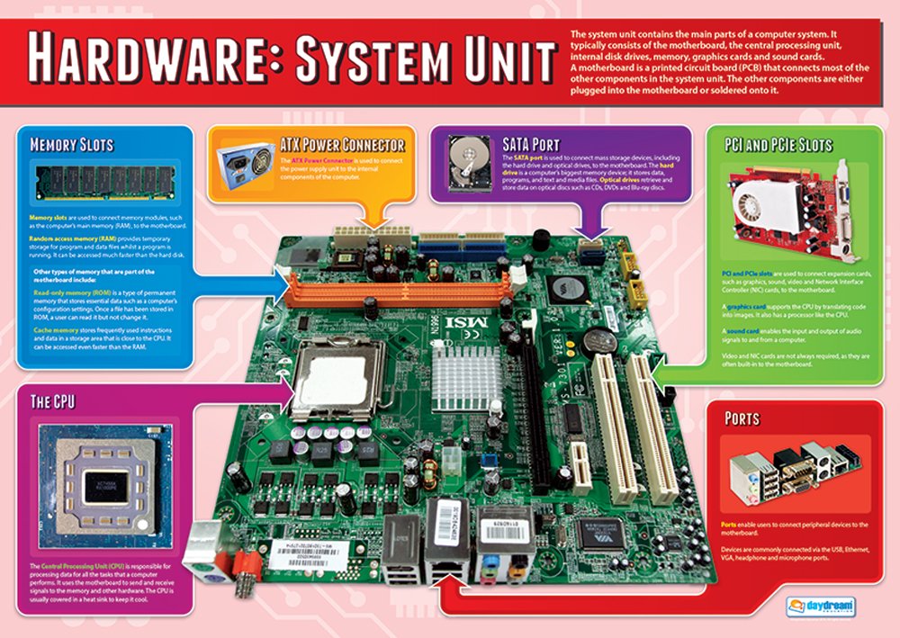 Buy The System Unit | Computer Science s | Laminated Gloss Paper ...