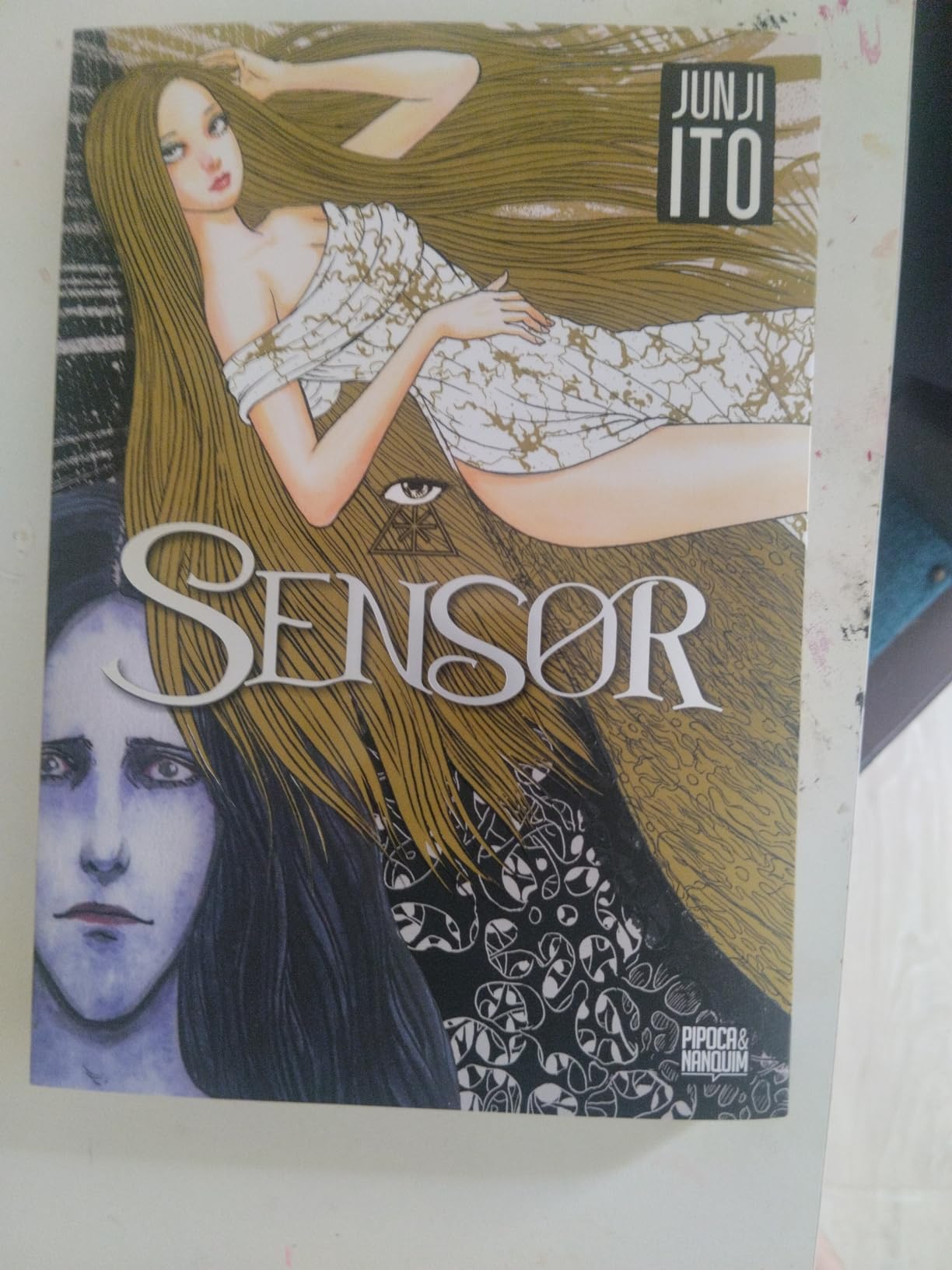 Sensor (mangá volume único) | Amazon.com.br