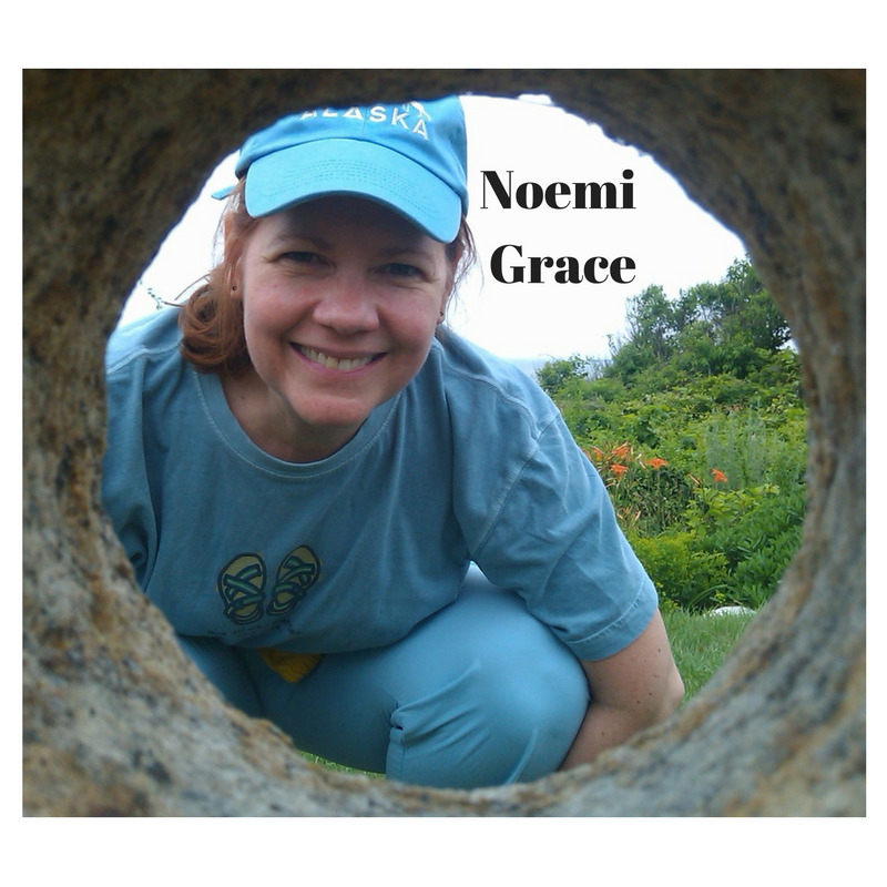 Amazon.com: Noemi Grace: books, biography, latest update