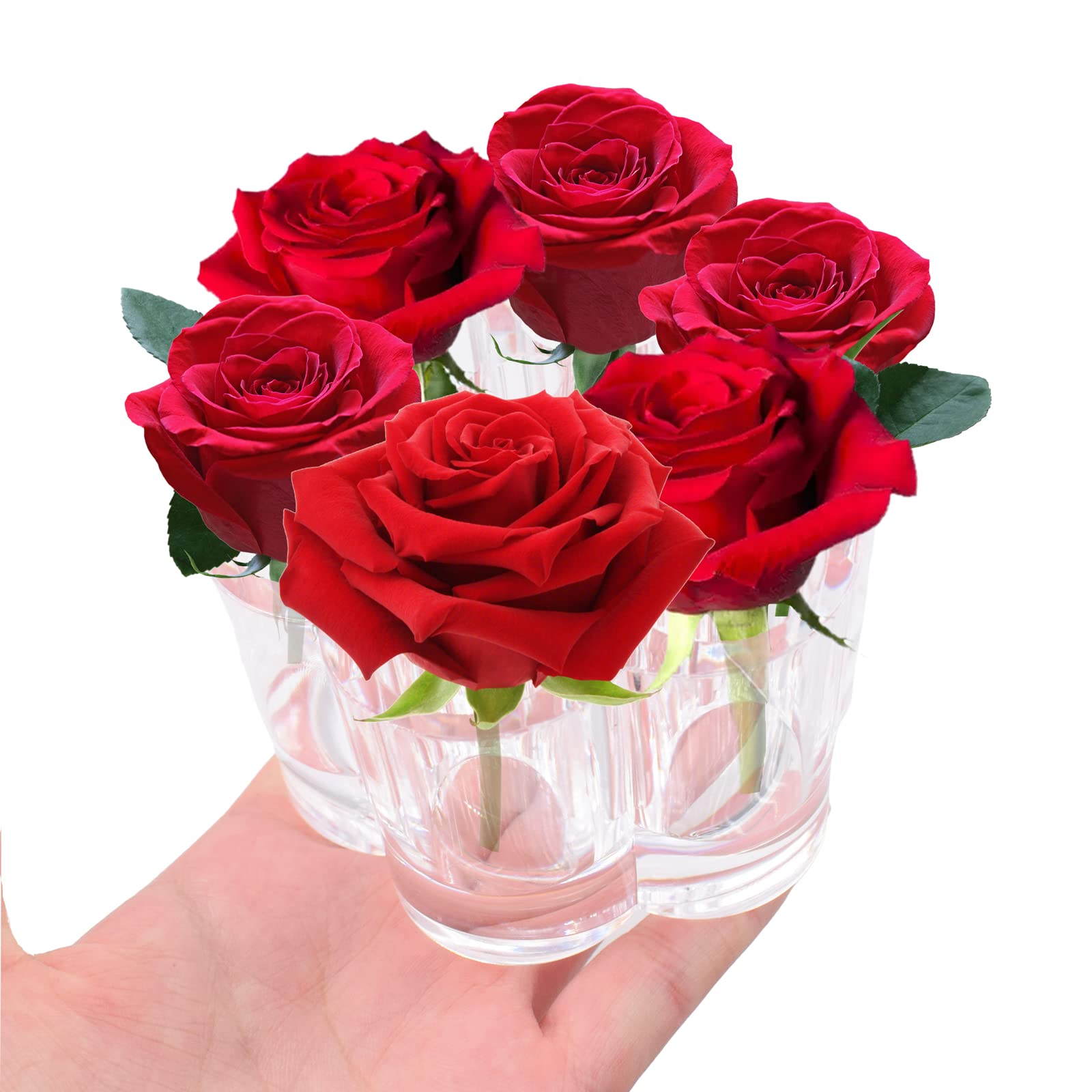 Amazon.com: Clear Acrylic Flower Vase Flower Shape Round Holes Floral ...