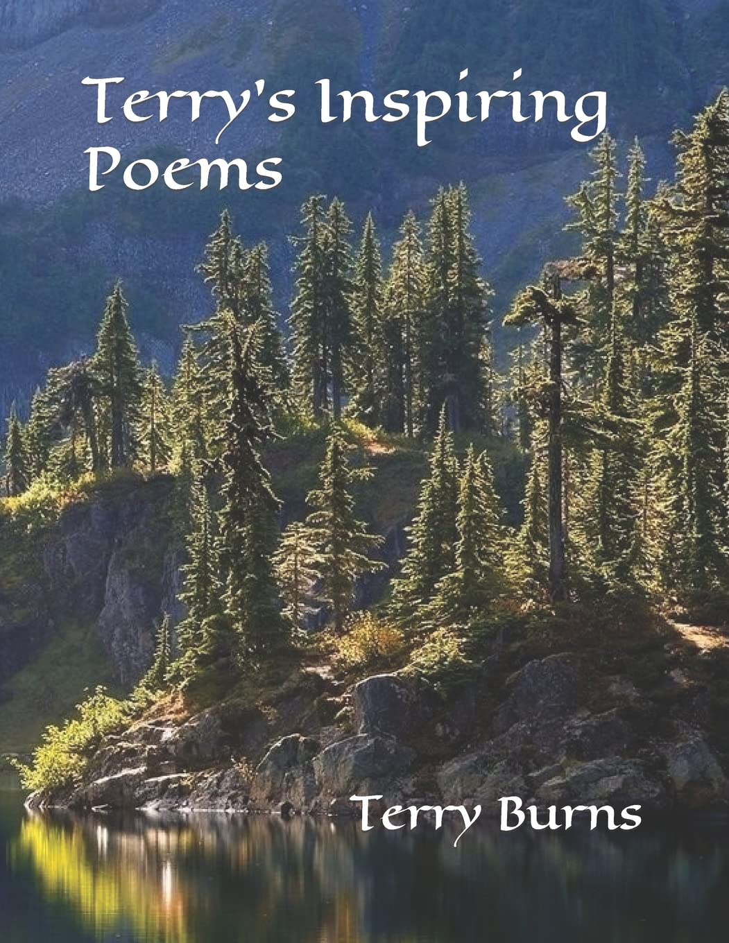 Terry's Inspiring Poems: Burns, Terry Scott: 9781505849585: Amazon.com ...