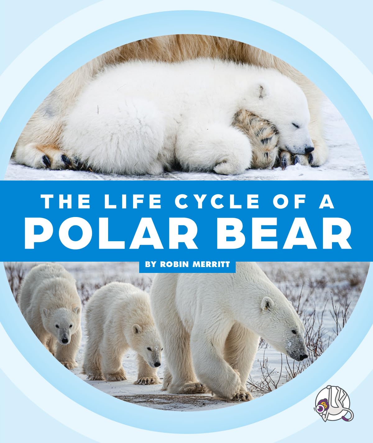 The Life Cycle of a Polar Bear (Life Cycles): Merritt, Robin ...