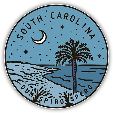 Amazon.com: EW Designs South Carolina State Shaped Flag Sticker Decal ...