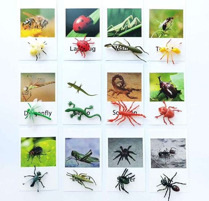 Amazon.com: Montessori Animal Match - Insect Animal Figurines with ...