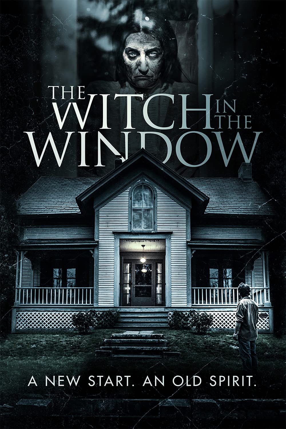 Amazon.com: The Witch in the Window : Andy Mitton, Andy Mitton, Richard ...