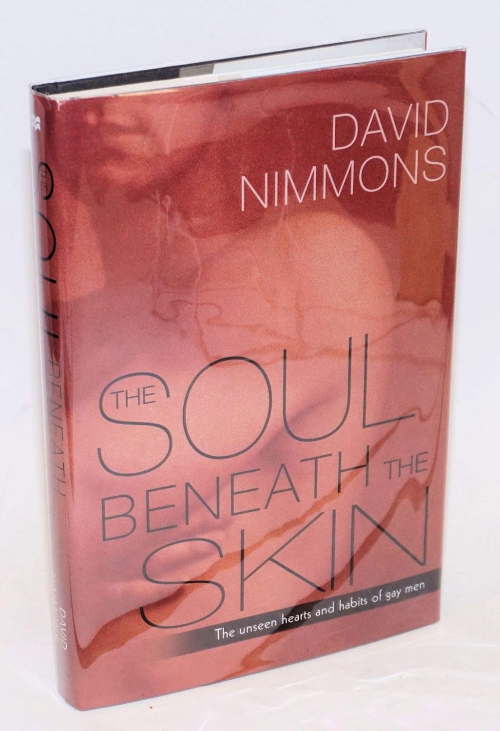 The Soul Beneath the Skin: The Unseen Hearts and Habits of Gay Men ...