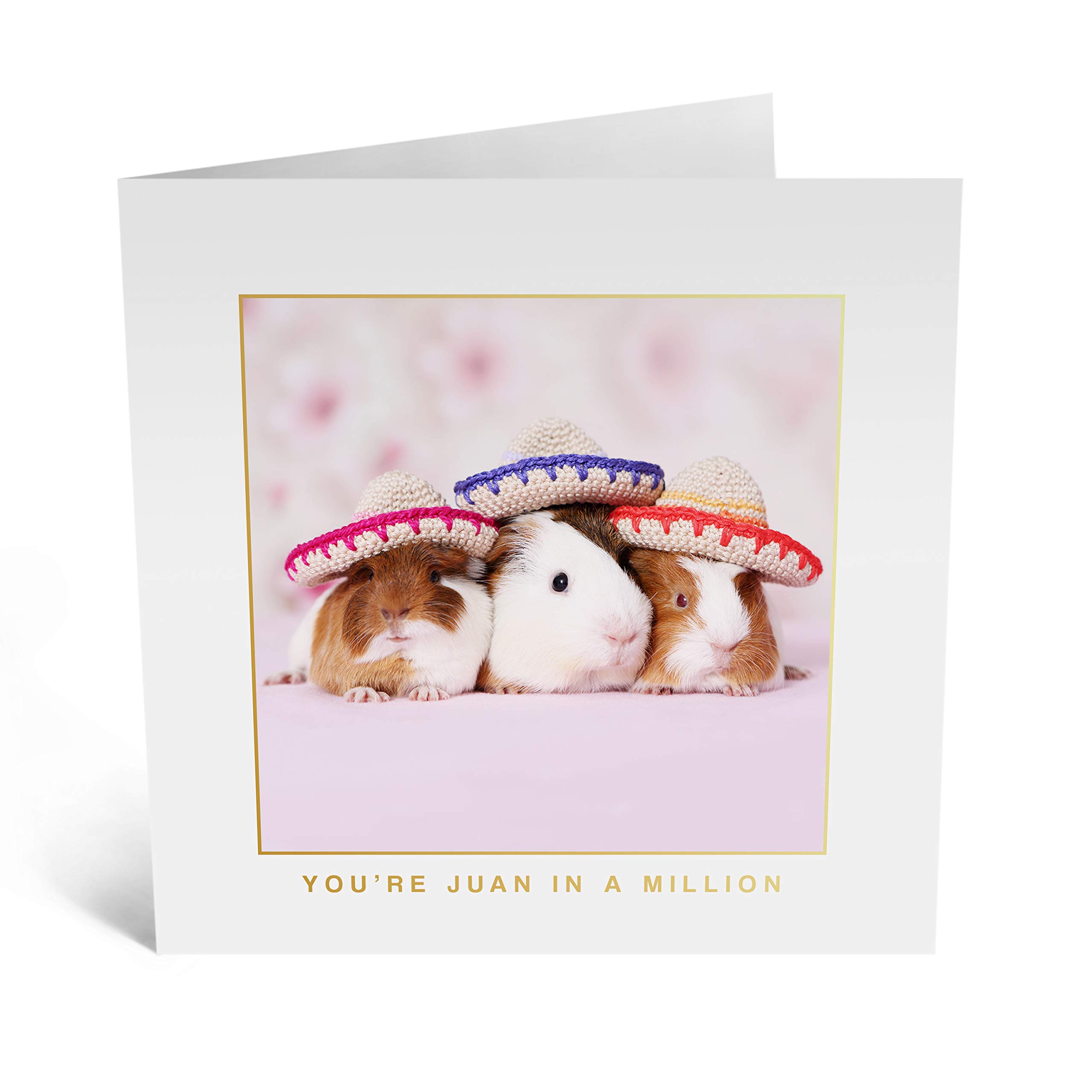 Central 23 Cute Anniversary Card Youre Juan In A Million | Desertcart INDIA