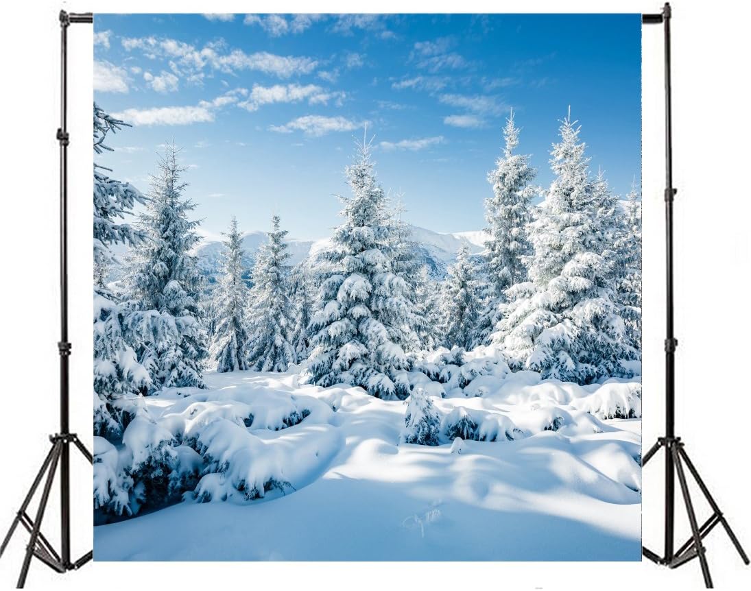 Amazon.com : Leyiyi 10x8ft Photography Background Snow Covered Mountain ...