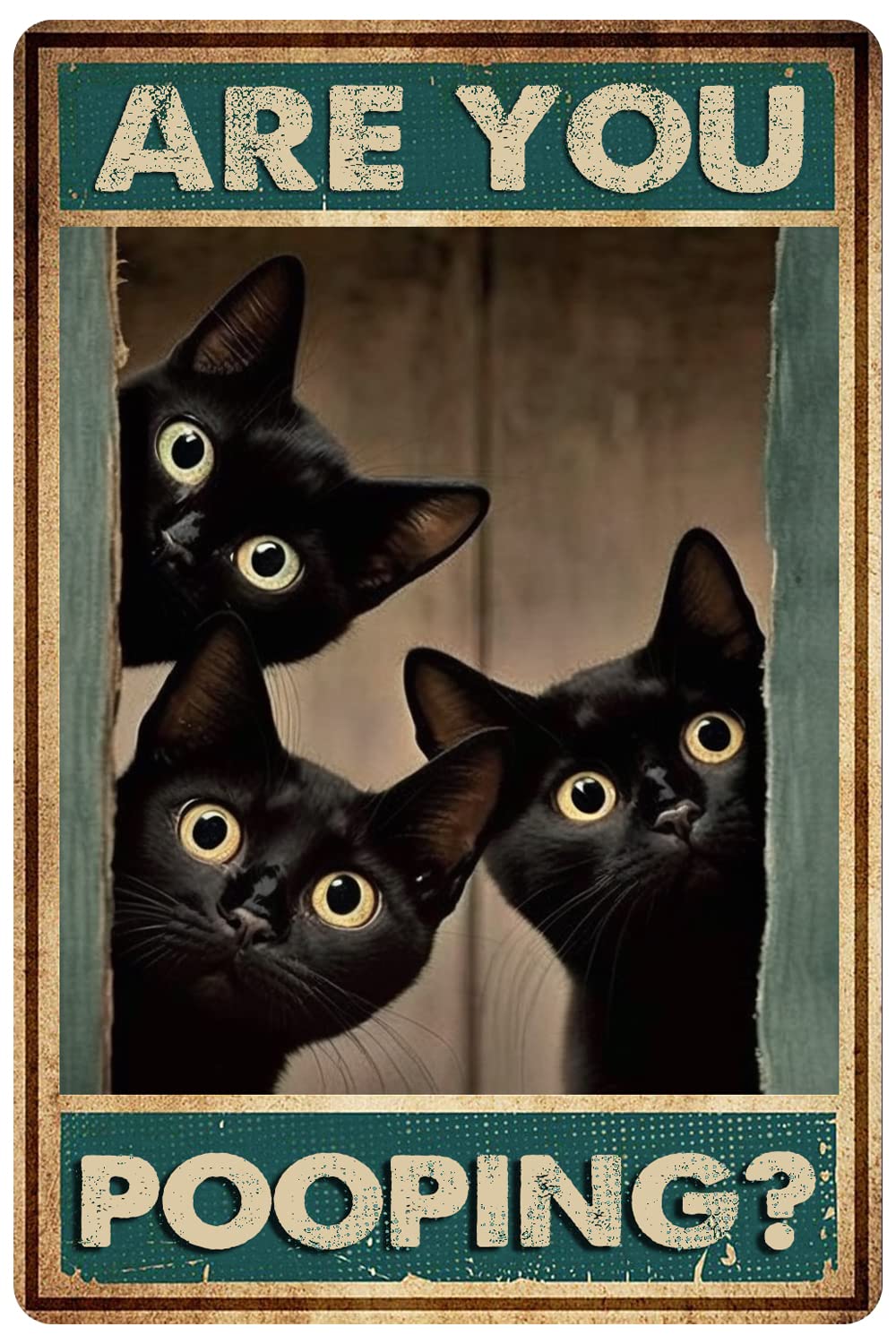 Amazon.com : Black Cat Are You Pooping Funny Tin Signs Bathroom Gothic ...