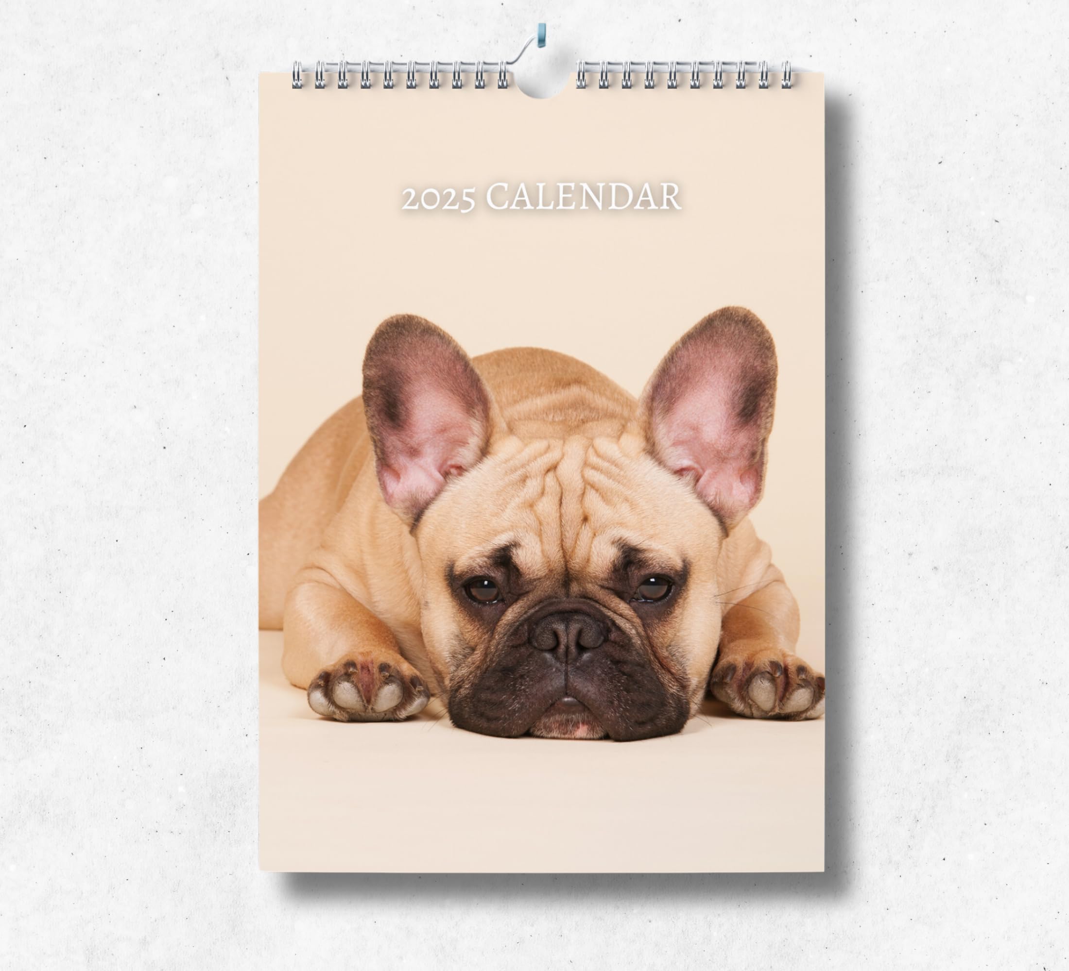French Bulldog 2025 Slim Calendar : Amazon.co.uk: Stationery & Office ...