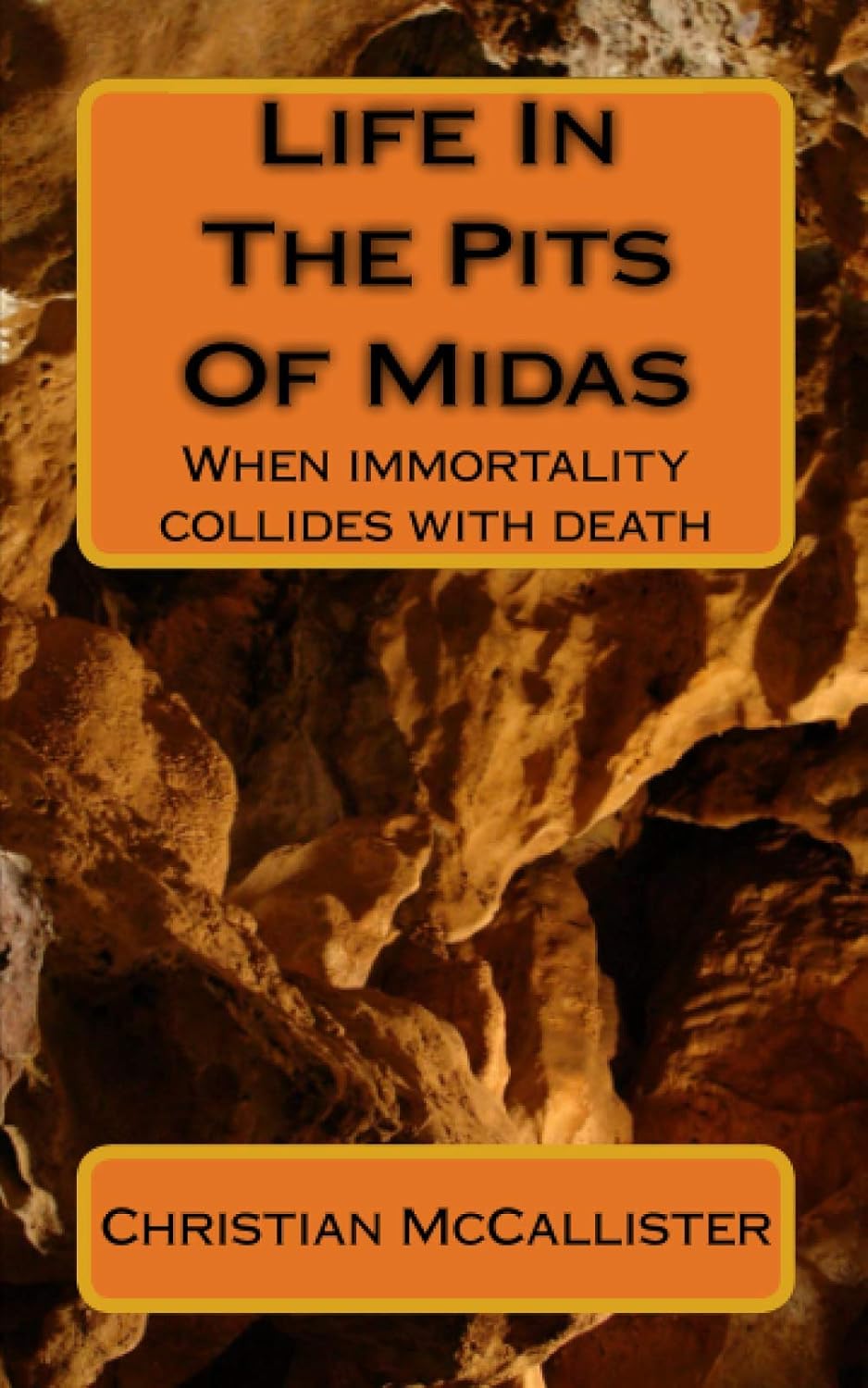 Life In The Pits Of Midas: Volume 1 : Amazon.in: Books