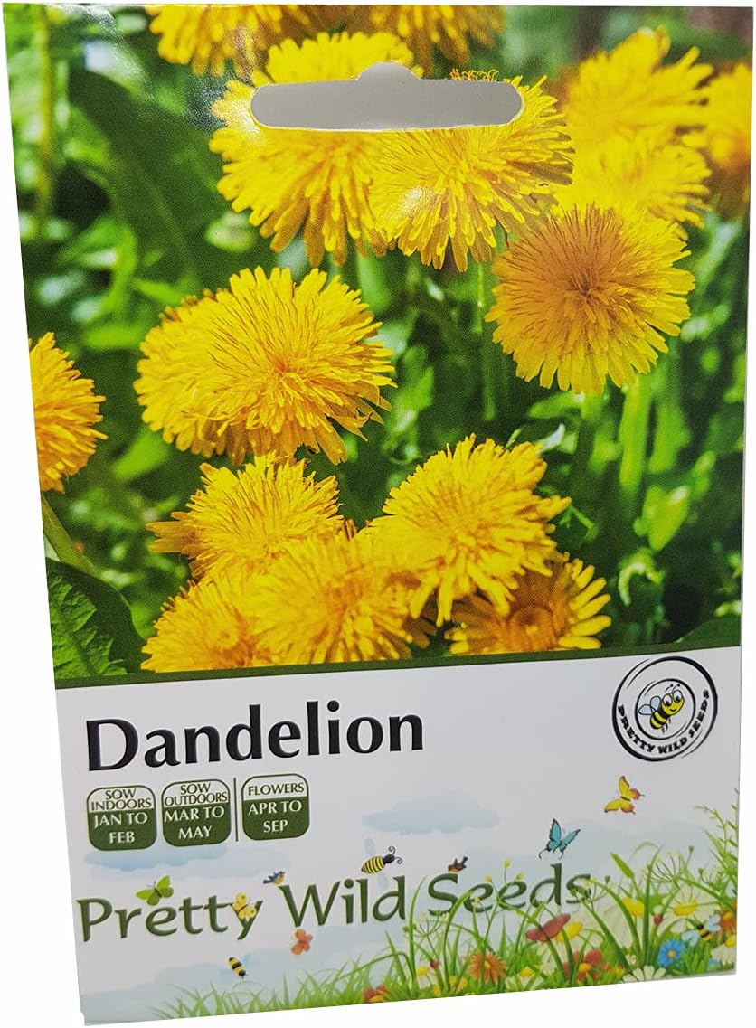 Dandelion 2000 seeds + Plant tag + Freebie - Wildflower - Tortoise food ...