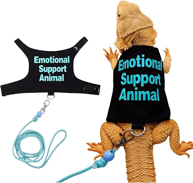 Amazon.com : Bearded Dragon Lizards Clothes with Leash Set for Small ...