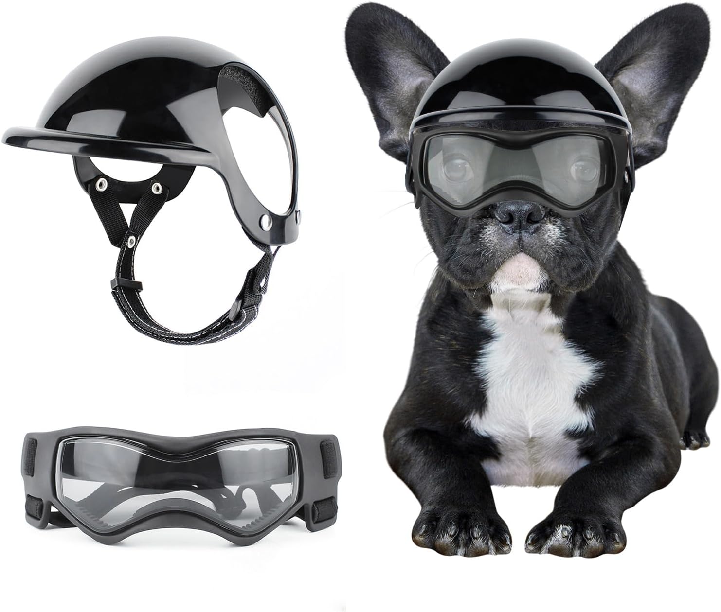 Amazon.com : BillionChains Dog Helmet and Dog Goggles for Small Dogs ...