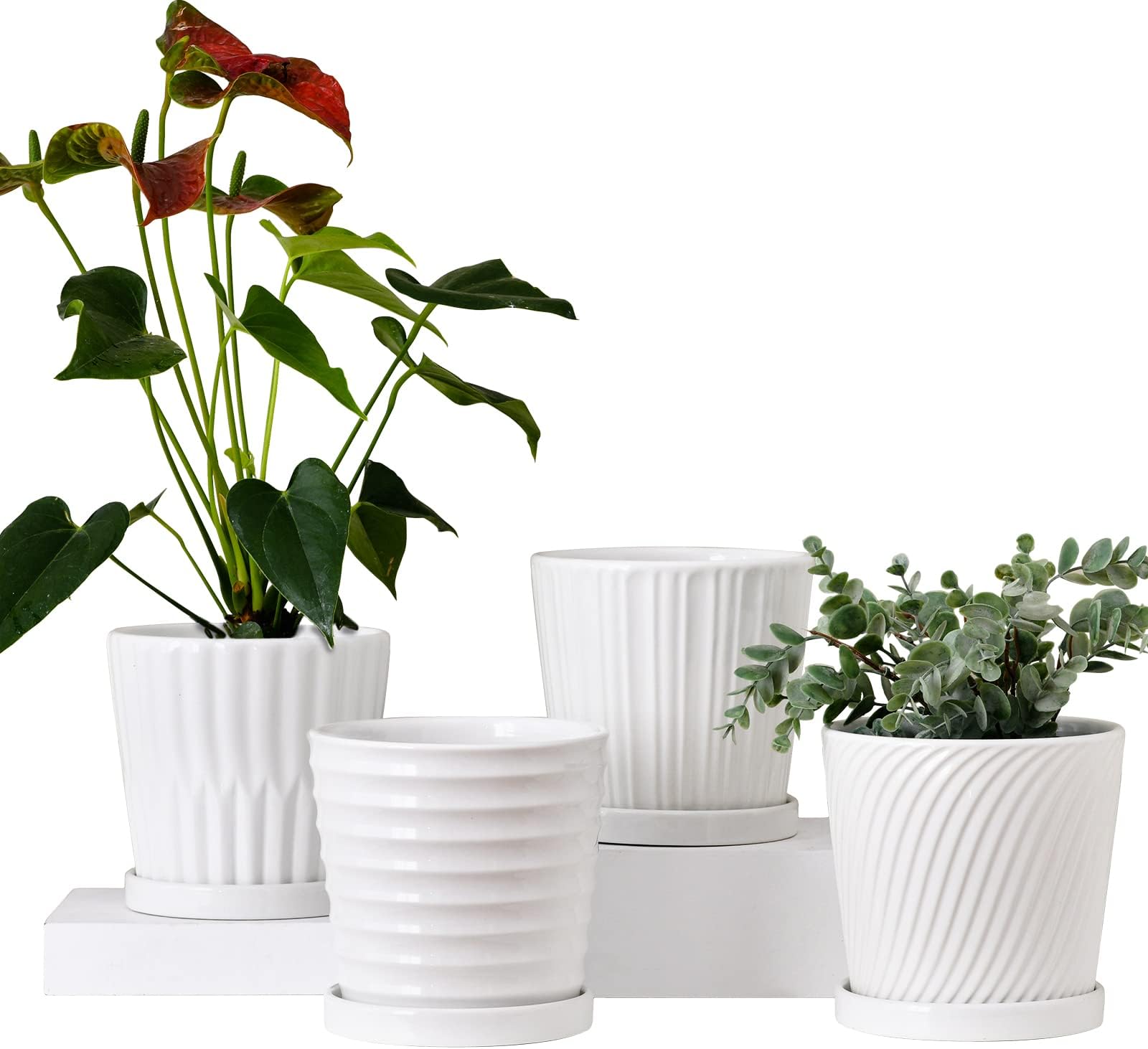 Amazon.com : White Ceramic Planter Pot / 6" Dia. w/Drainage Hole/Indoor ...