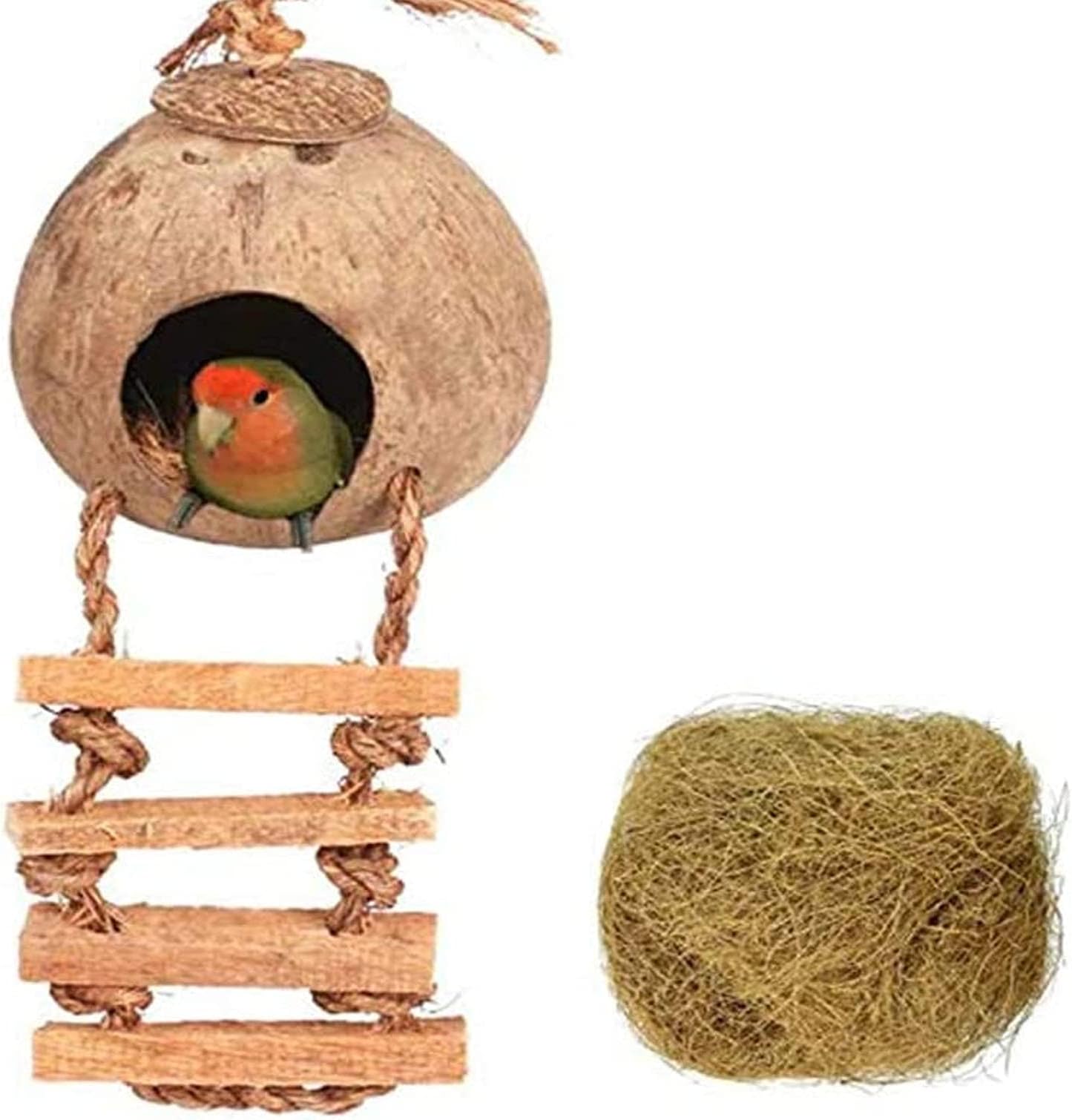 Amazon.com : kuminamoja Coconut Bird's Nest with Ladder for Parrots ...