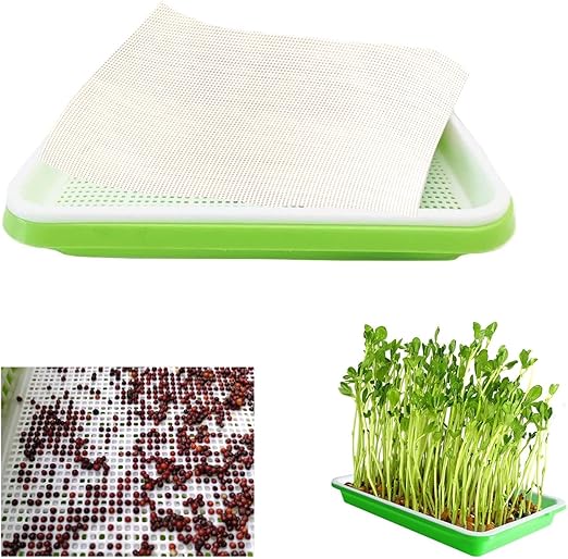 Amazon.com : Mutochy 4pcs Seed Sprouting Mesh, Silicone Seed Sprouting ...