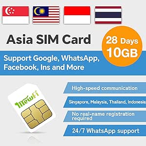 Amazon.com: Southeast Asia SIM Card 28Days 10GB - 4G High-Speed Communication Prepaid SIM for ...