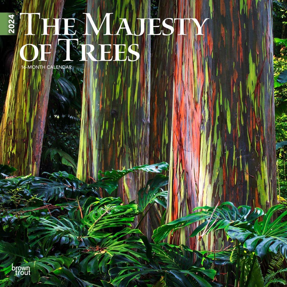 The Majesty of Trees | 2024 12 x 24 Inch Monthly Square Wall Calendar ...
