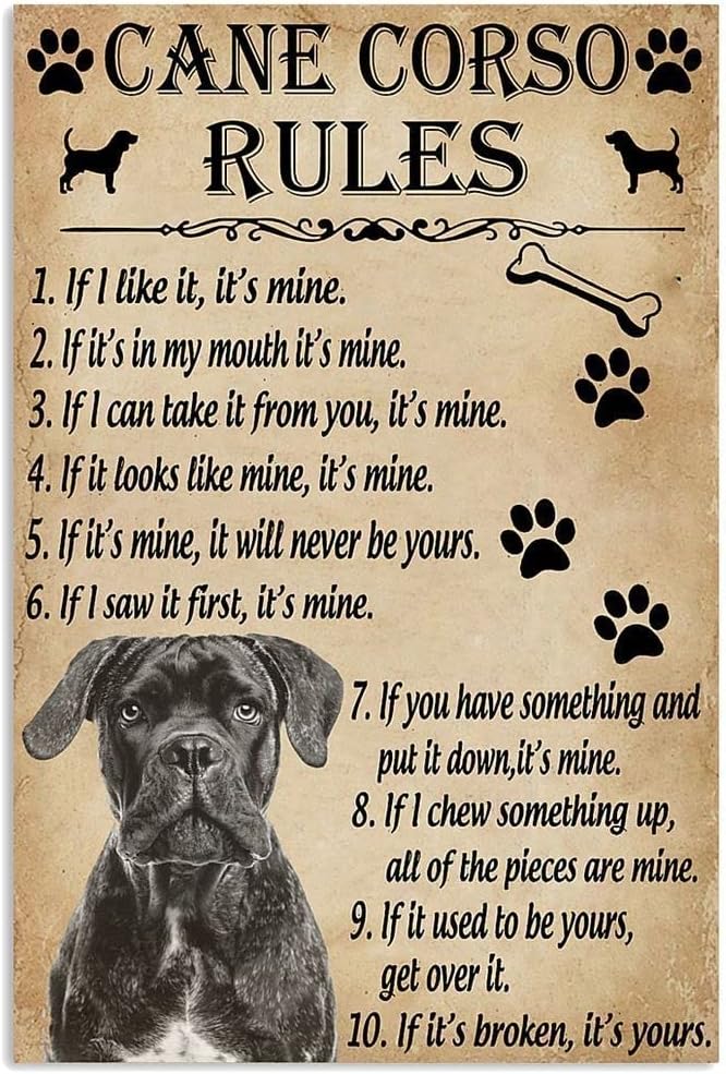 Amazon.com: QKIODS Metal Tin Signs Vintage Aluminum Rules For Your Dog ...