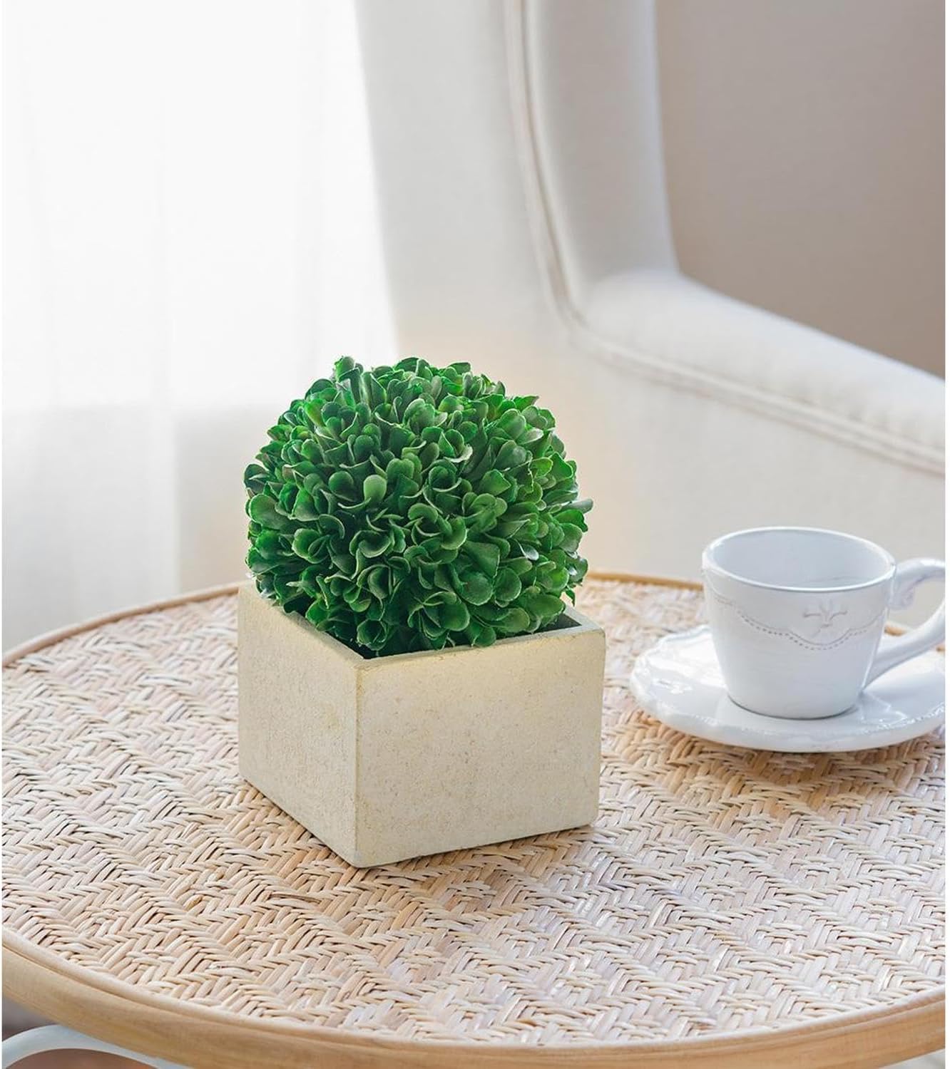 Amazon.com - T2 CONCEPT 5.5" x 7" Faux Boxwood, Boxed Topiary, Medium ...