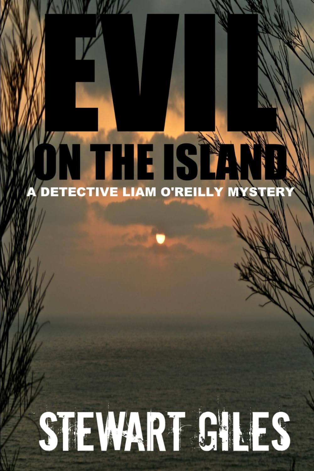 Evil on the Island (DI Liam O'Reilly mysteries): Amazon.co.uk: Giles ...
