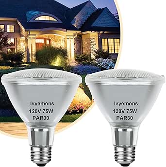 Ivyemons PAR30 Long Neck Halogen 75W 120V - 2 Pack PAR30 75W 120V Flood ...