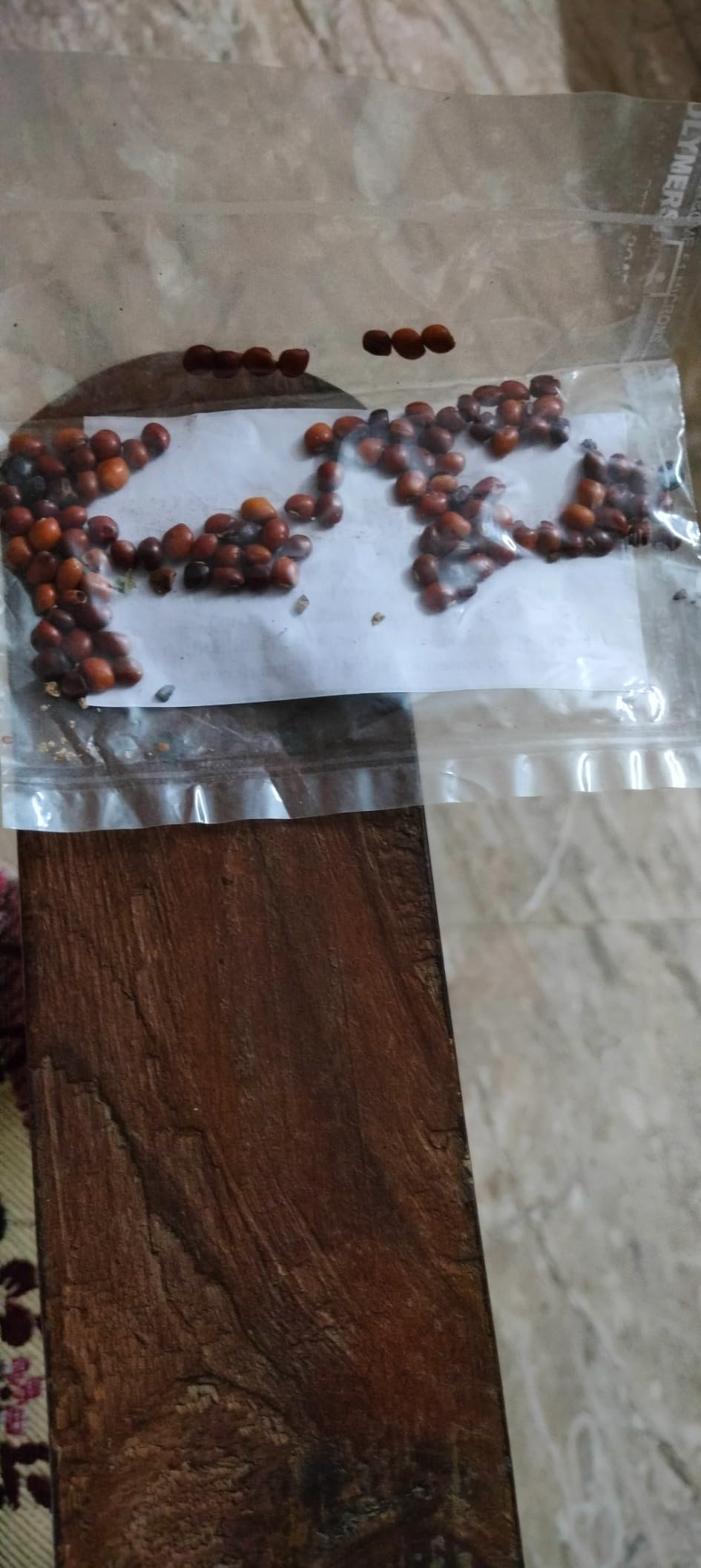 Zone Marketing Hybrid Toor Dal Seeds/Hybrid Arhar Bean/Tur Pigeon Pea ...